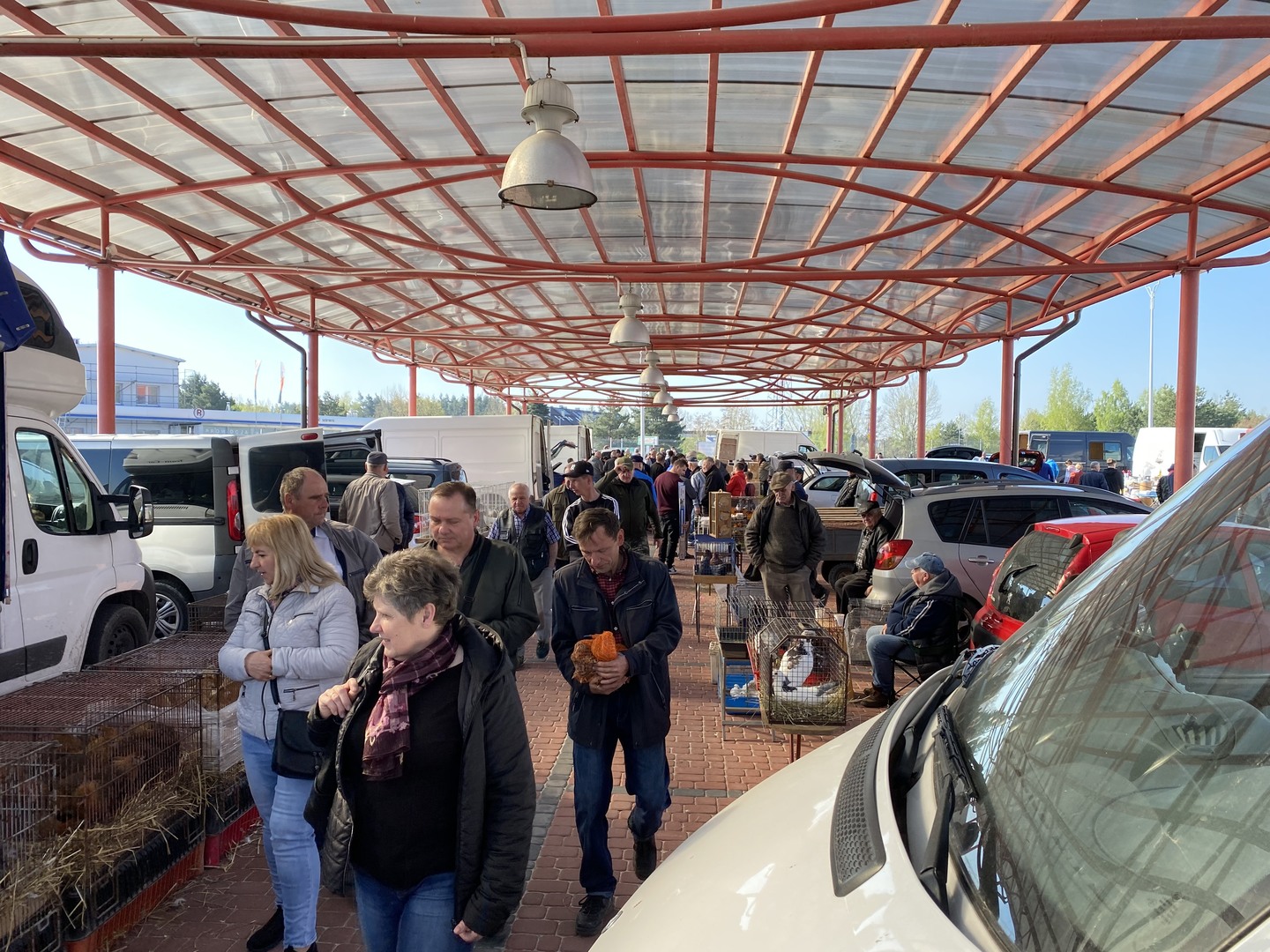 Portal Informacyjny Miasta i Gminy Połaniec